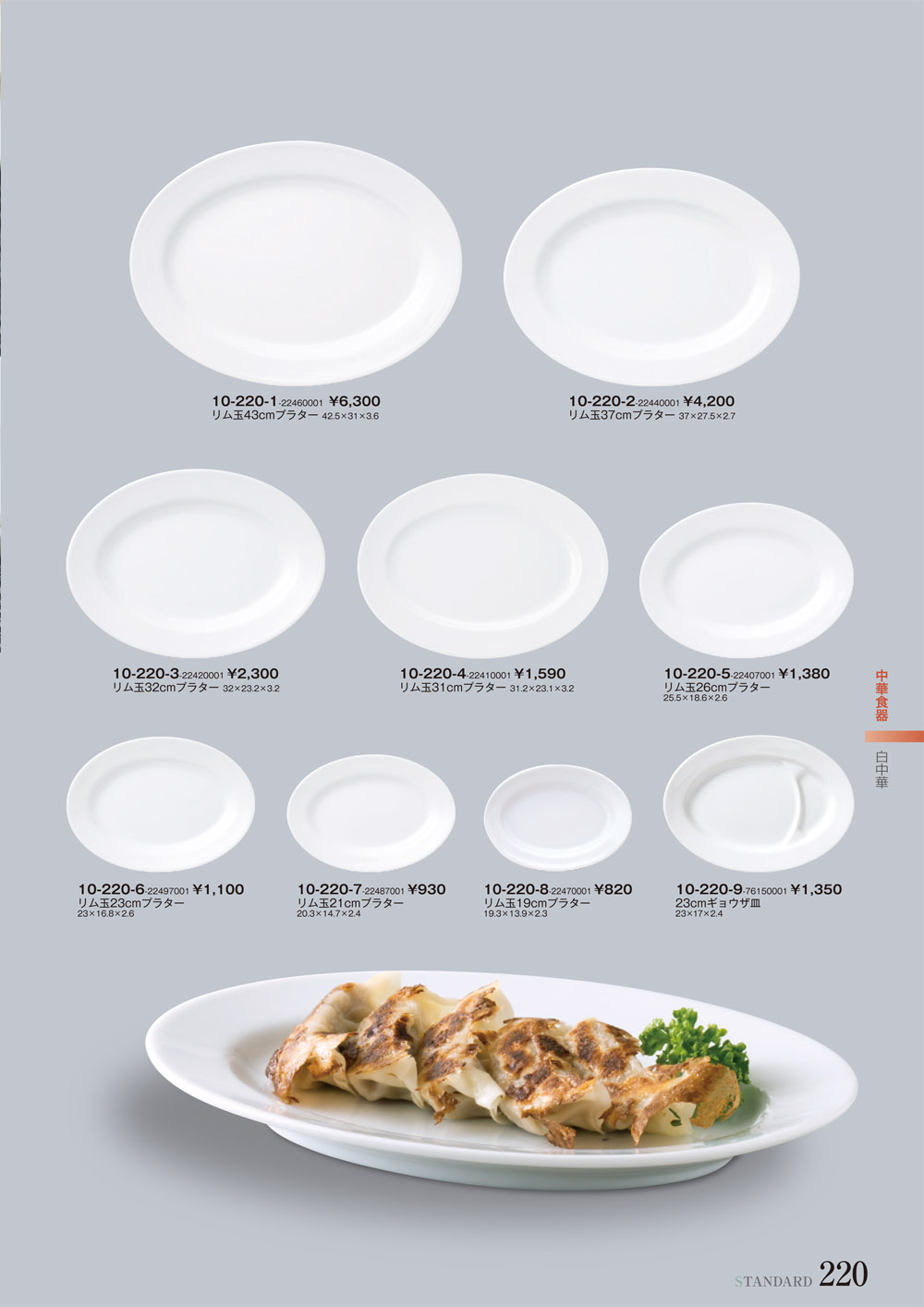 スタンダード vol10 P.220 | 食器カタログ.com
